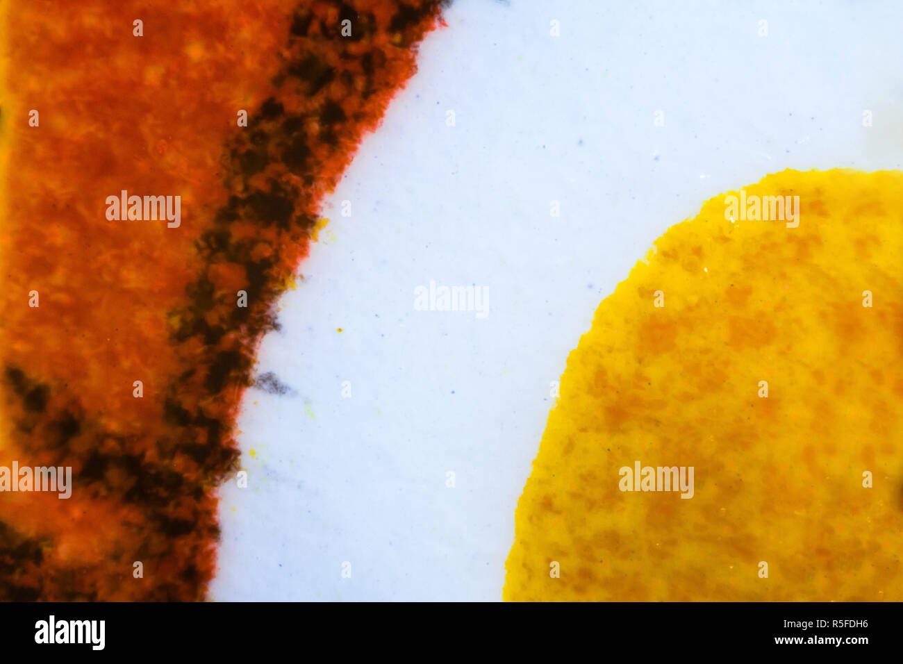 Abstract pattern texture on credit card under the microscope Stock ...