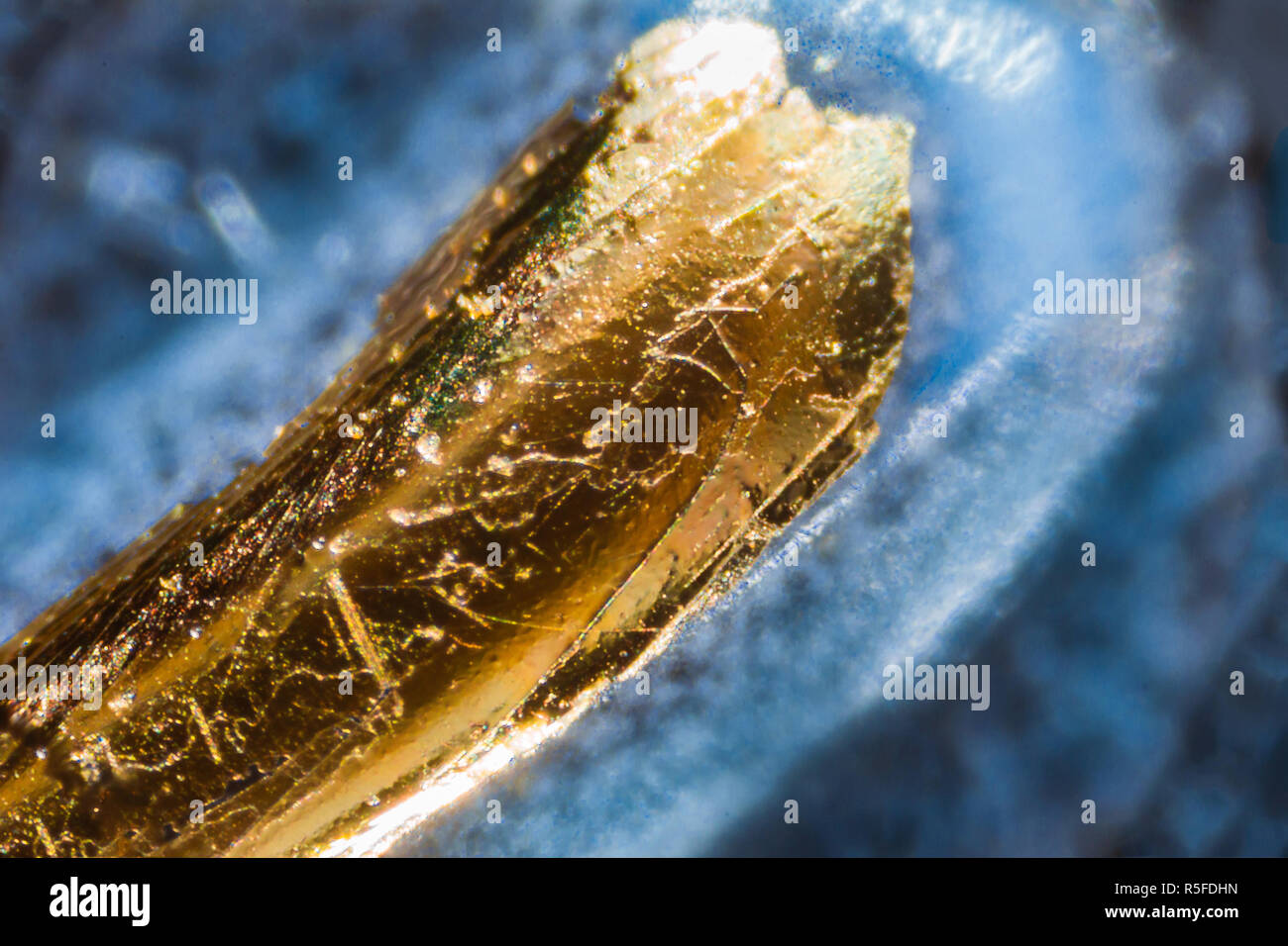 Credit card number under the microscope Stock Photo - Alamy