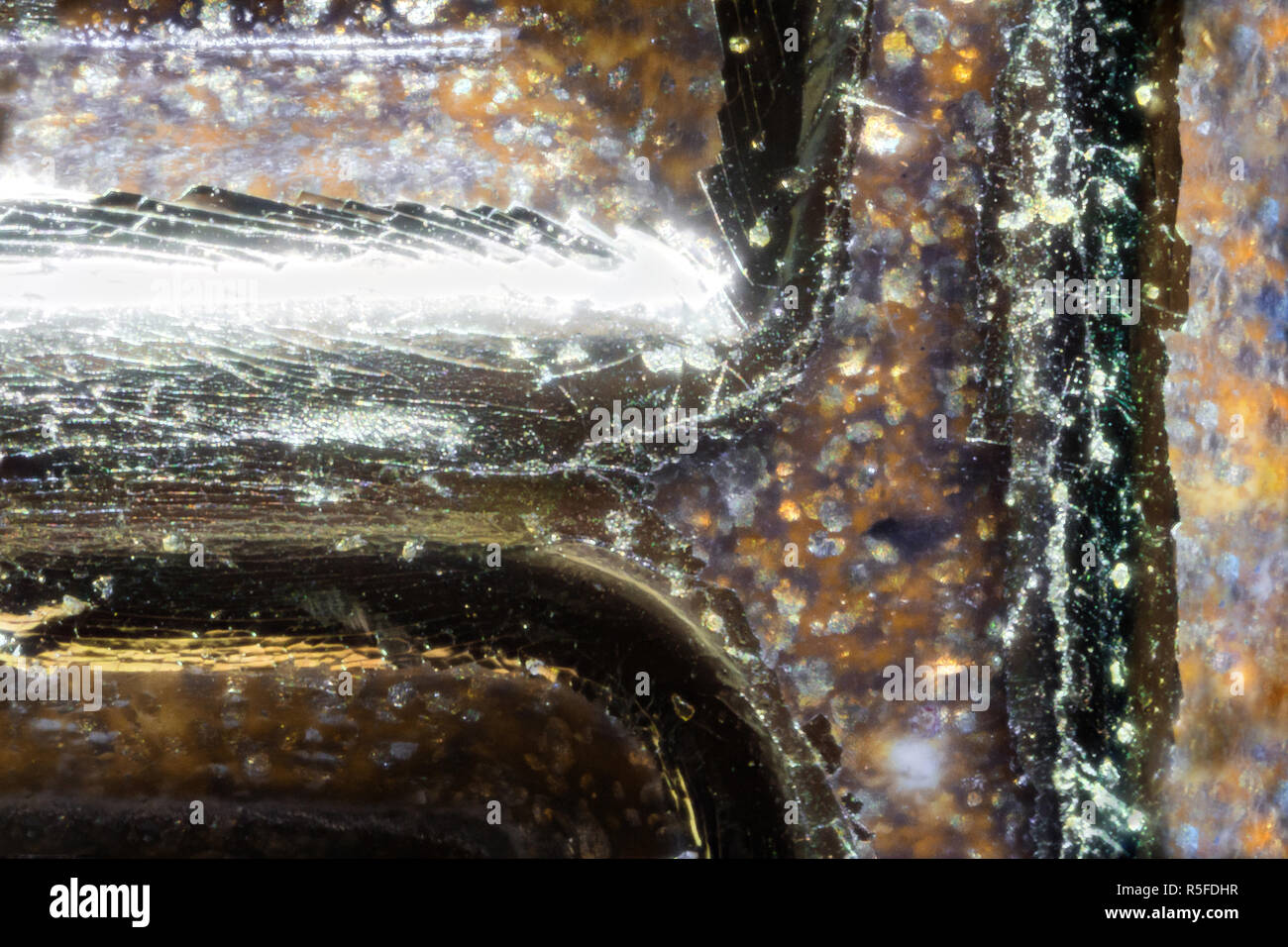 Credit card number under the microscope Stock Photo - Alamy