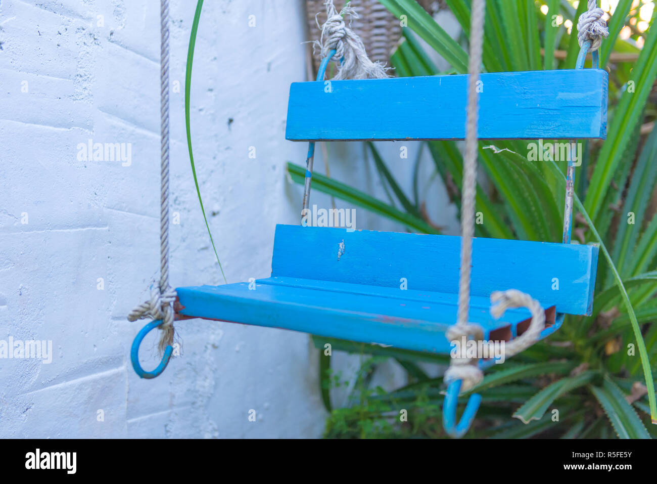 Rope swing under tree in the garden Stock Photo - Alamy