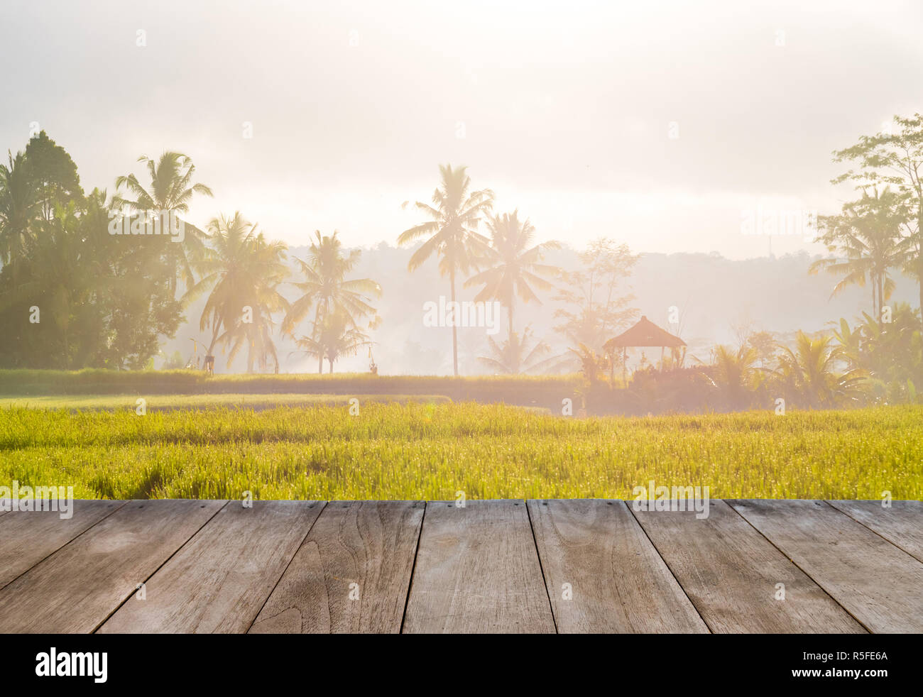 Perspective empty wooden table in front of rice fields and coconut ...
