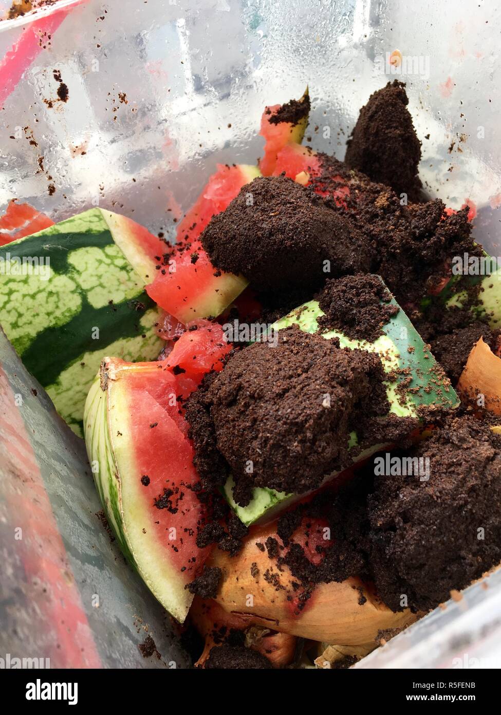 fresh organic waste with a coffee set and waste of watermelons Stock ...