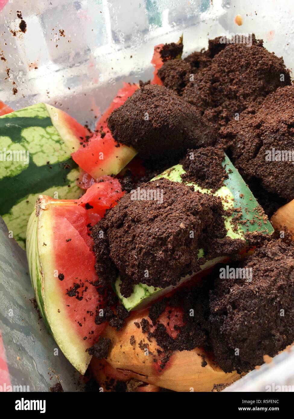 fresh organic waste with a coffee set and waste of watermelons Stock ...