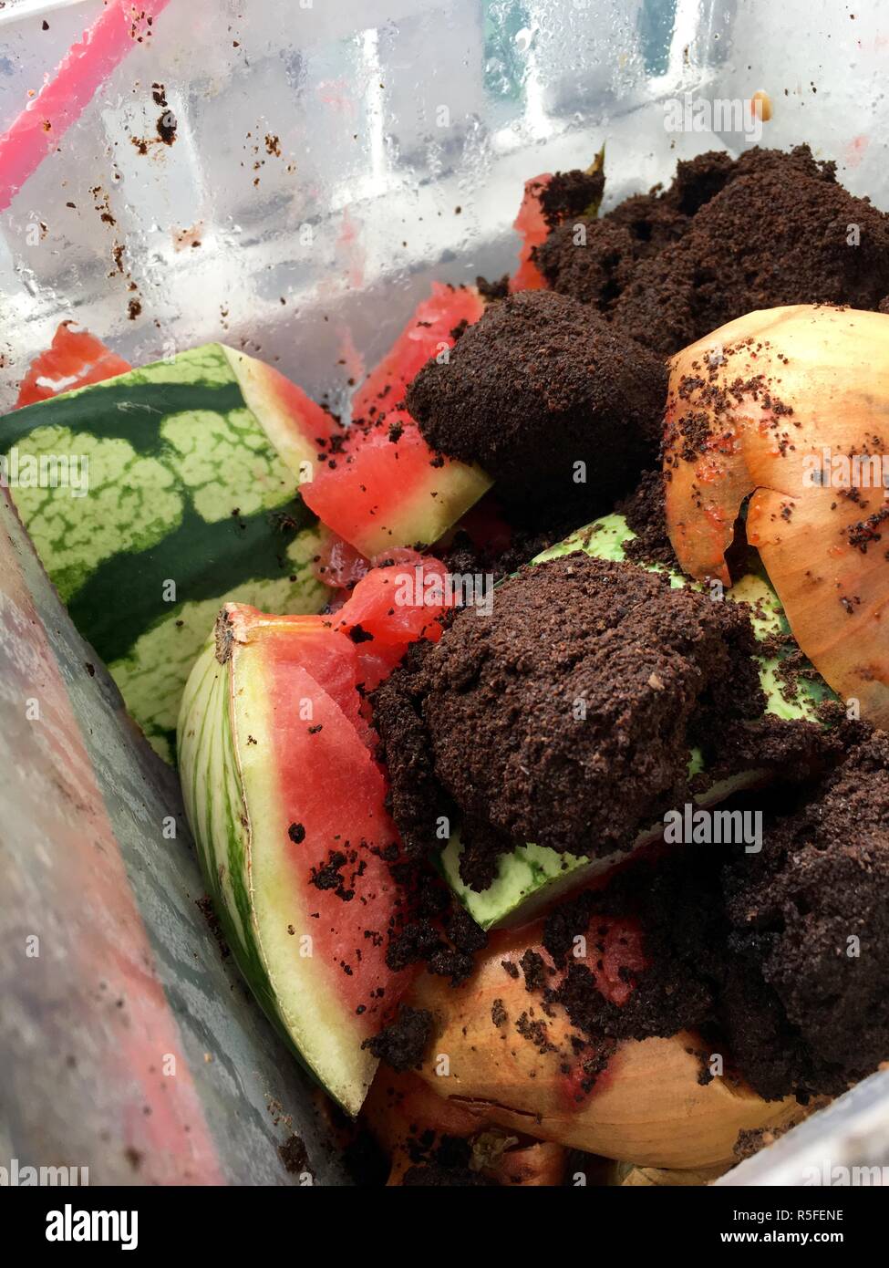 fresh organic waste with a coffee set and waste of watermelons Stock ...