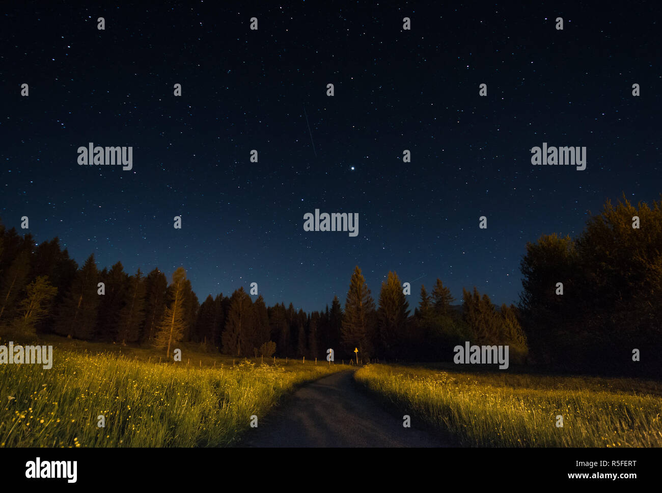 Night landscape under starlight Stock Photo - Alamy