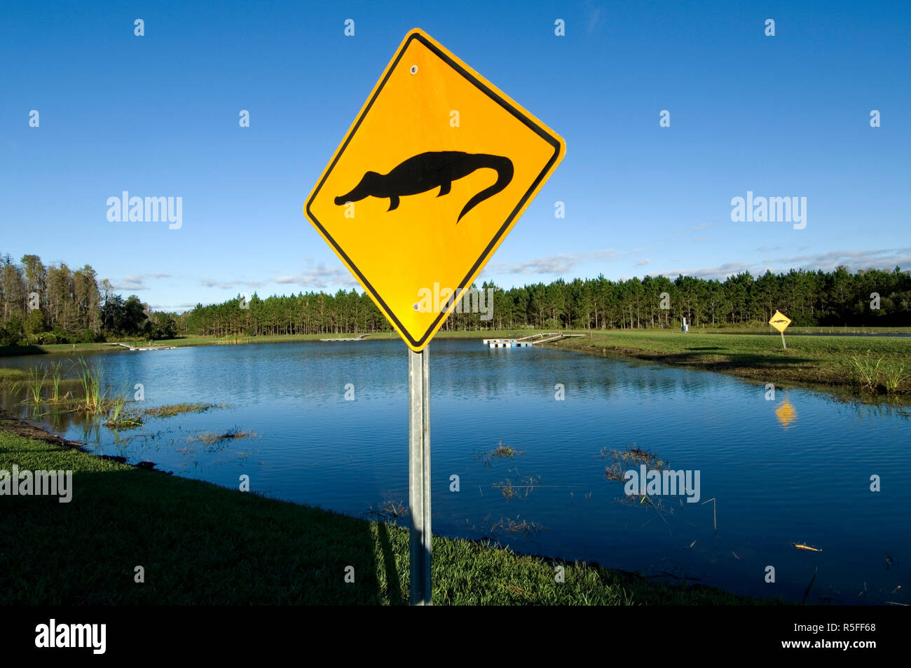 Alligator warning sign hi-res stock photography and images - Alamy