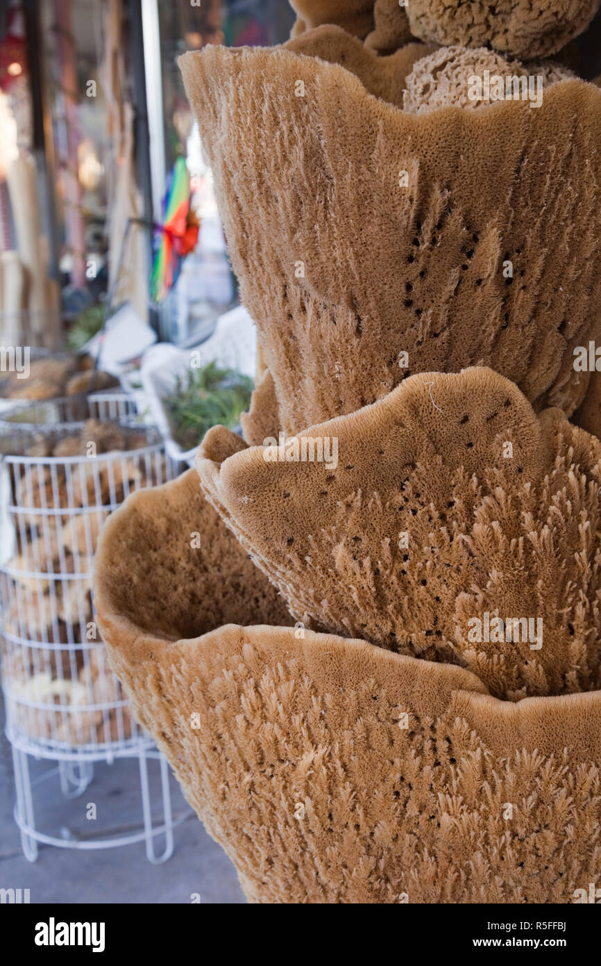 Fishing florida tarpon hi-res stock photography and images - Alamy