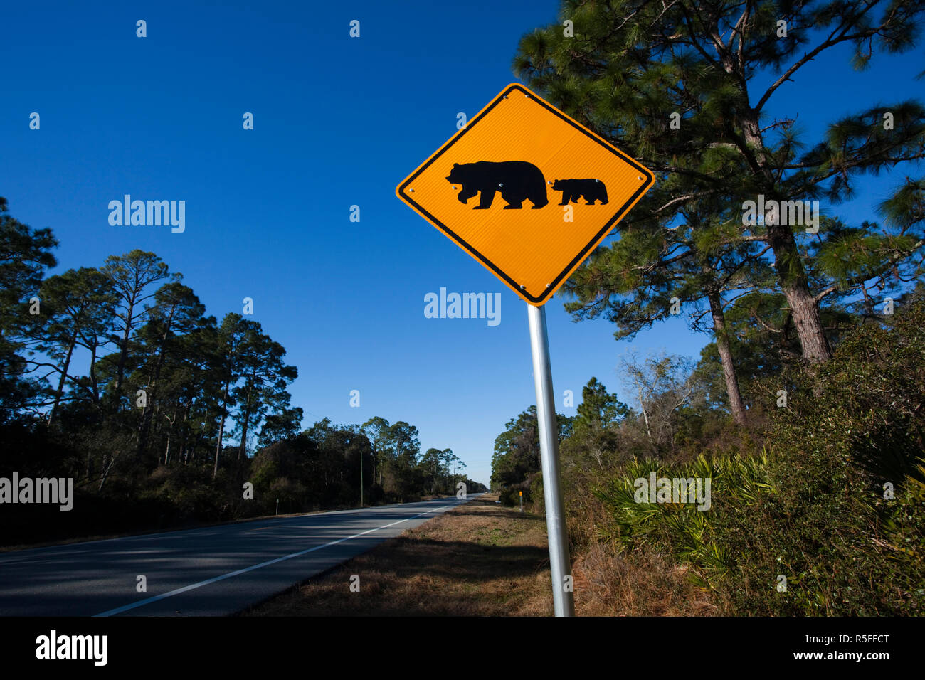 Bear sign usa hi-res stock photography and images - Alamy