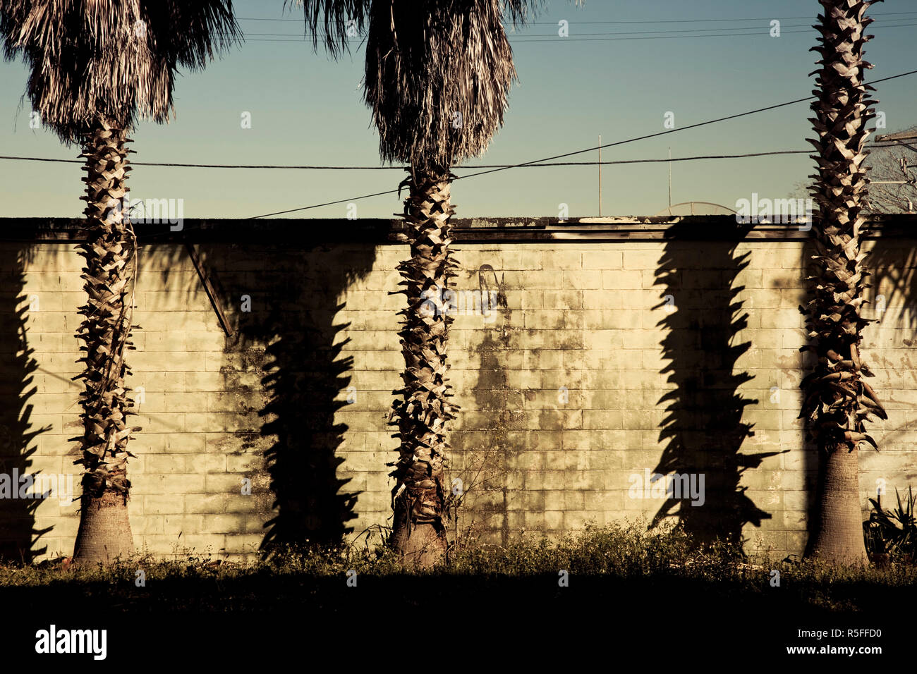 USA, Florida, Florida Panhandle, Apalachicola, warehouse building Stock ...