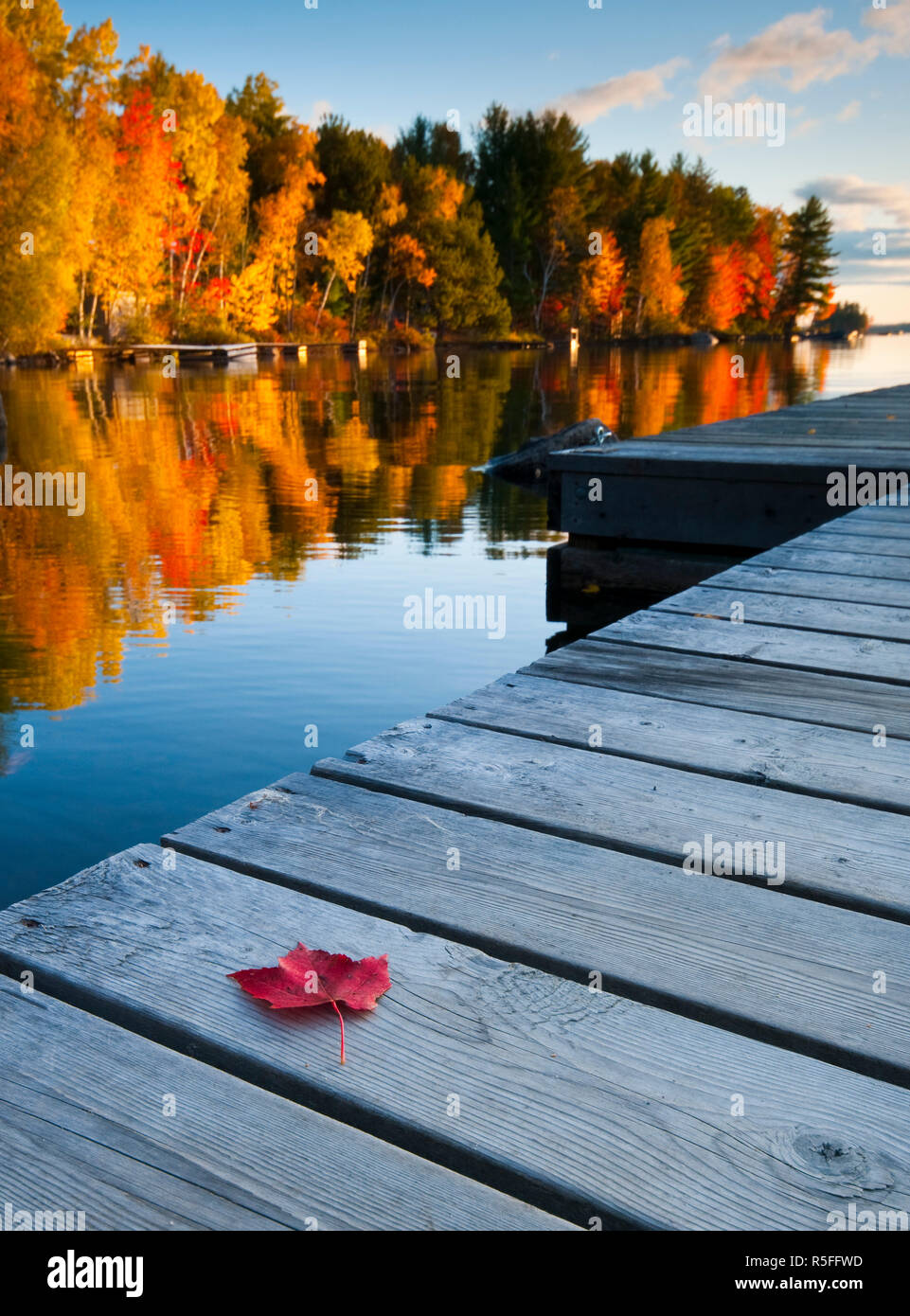 USA, Maine, Baxter State Park, Lake Millinocket Stock Photo - Alamy