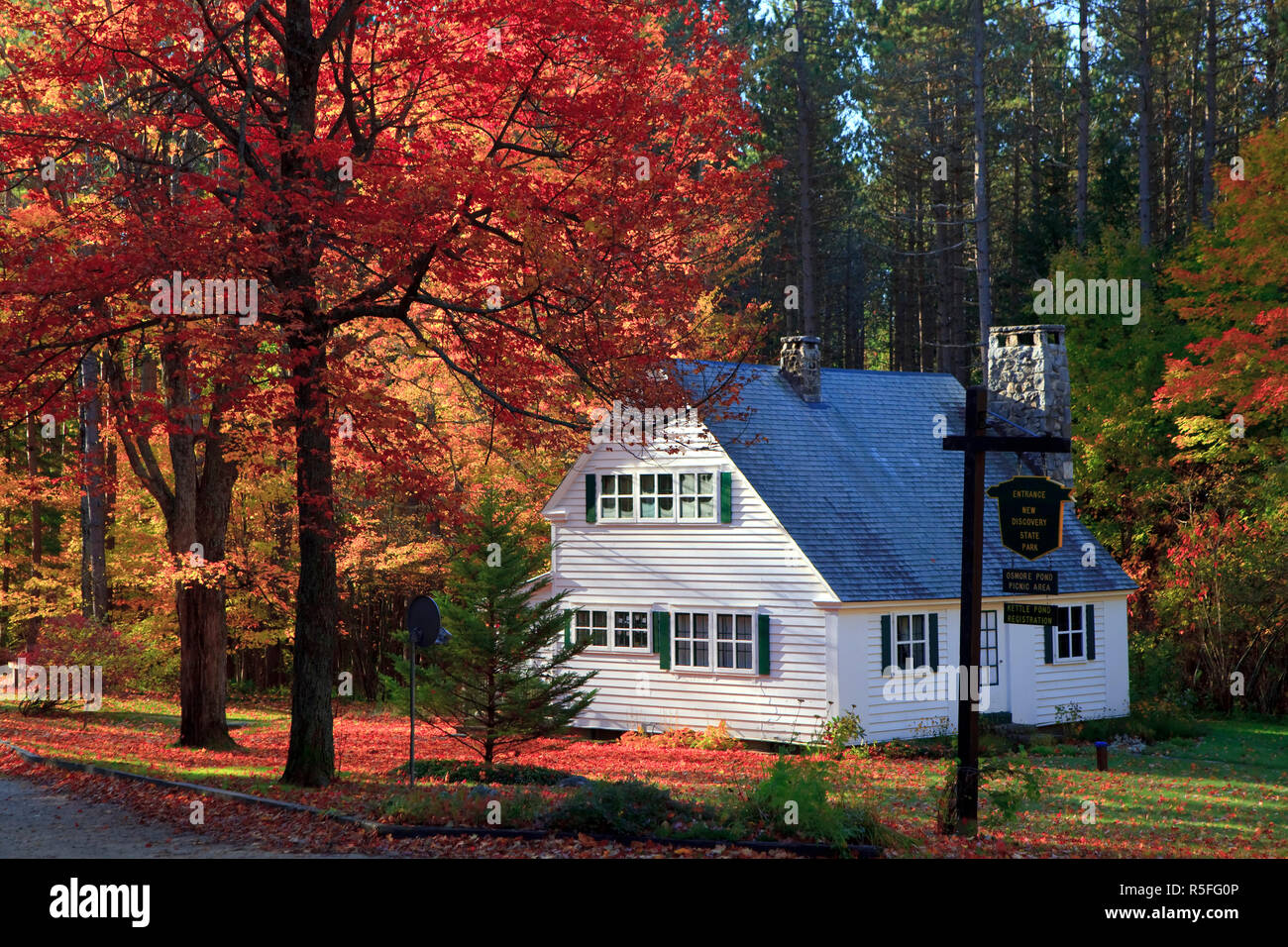 USA, New England, Vermont, Groton State Forest, Fall Foliage Stock ...