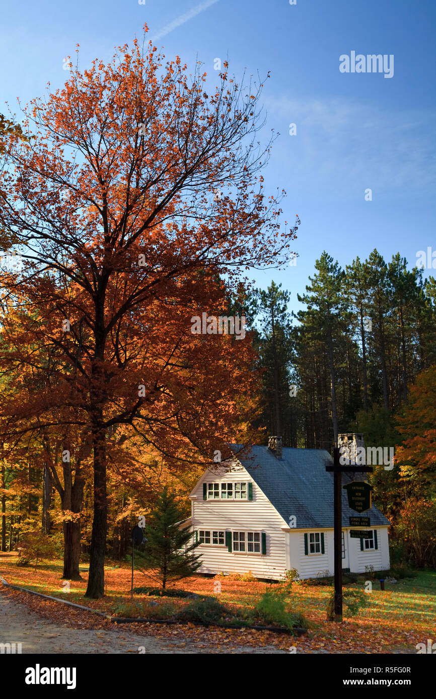 USA, New England, Vermont, Groton State Forest, Fall Foliage Stock ...