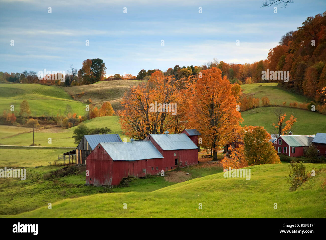 Jenne hi-res stock photography and images - Alamy