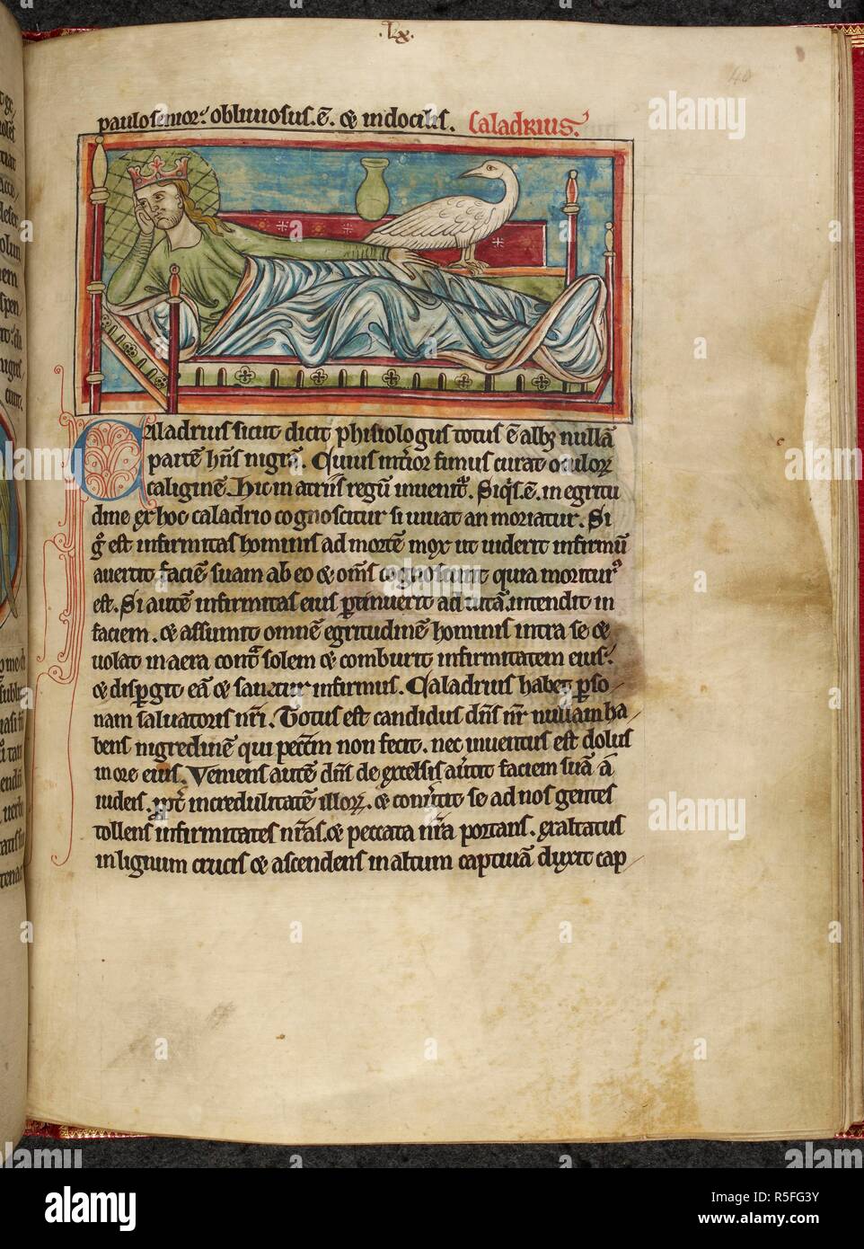 Caladrius perching at the bedside of a king, illustrating the text that ...