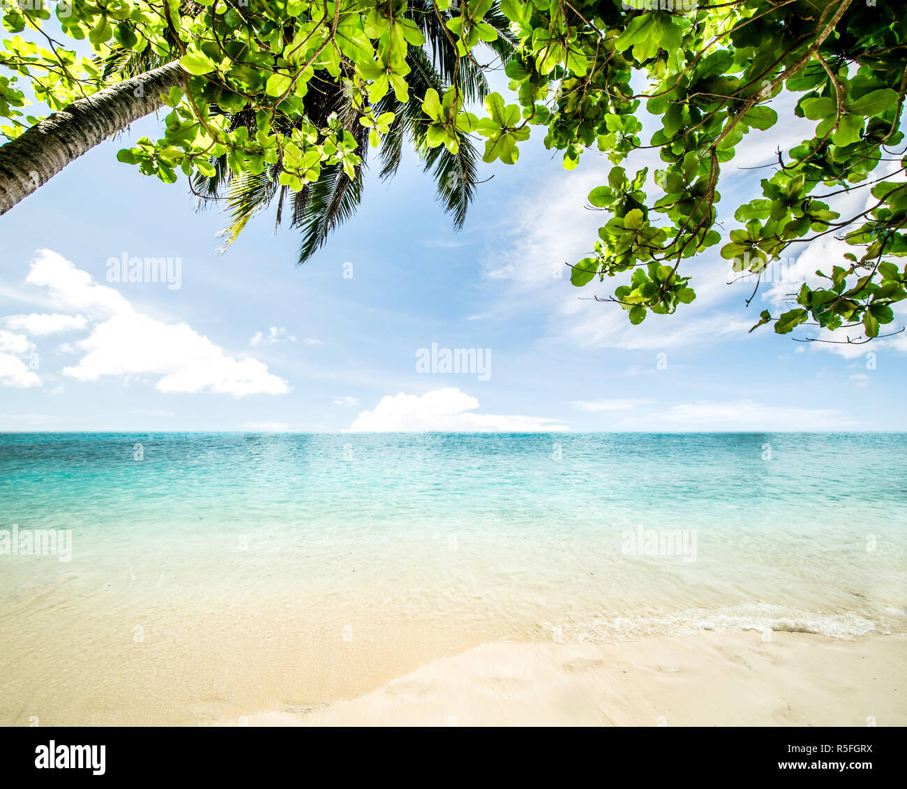 Idyllic beach background Stock Photo - Alamy