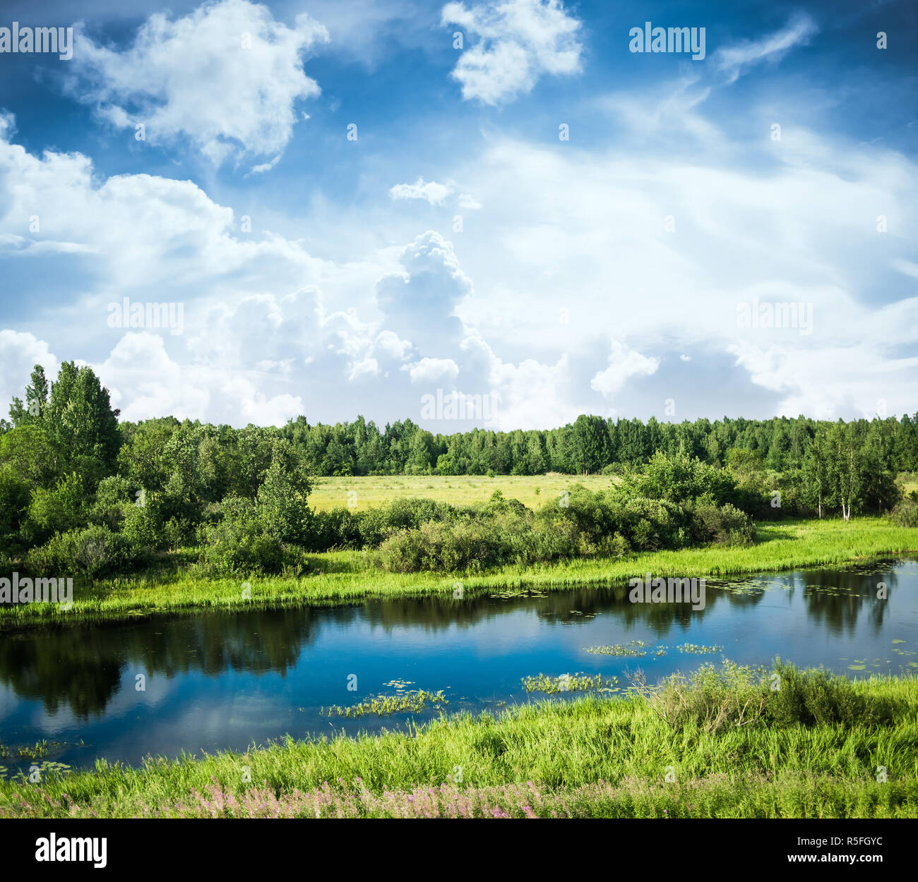 Beautiful park background Stock Photo - Alamy