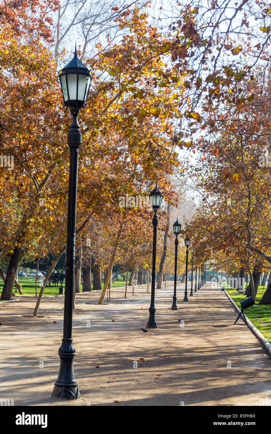 Fall Colors in Santiago, Chile Stock Photo - Alamy