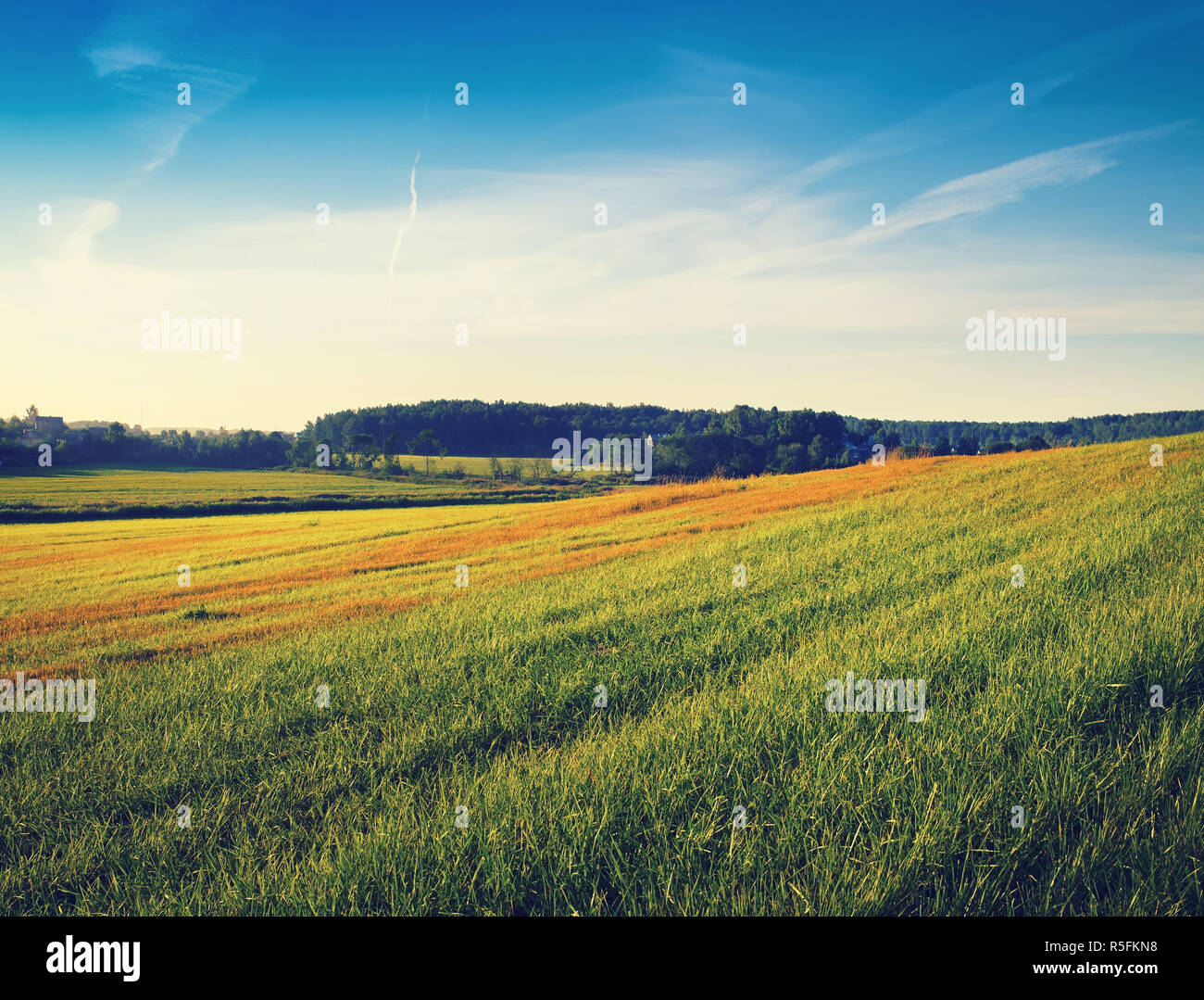 Summer rural landscape Stock Photo - Alamy