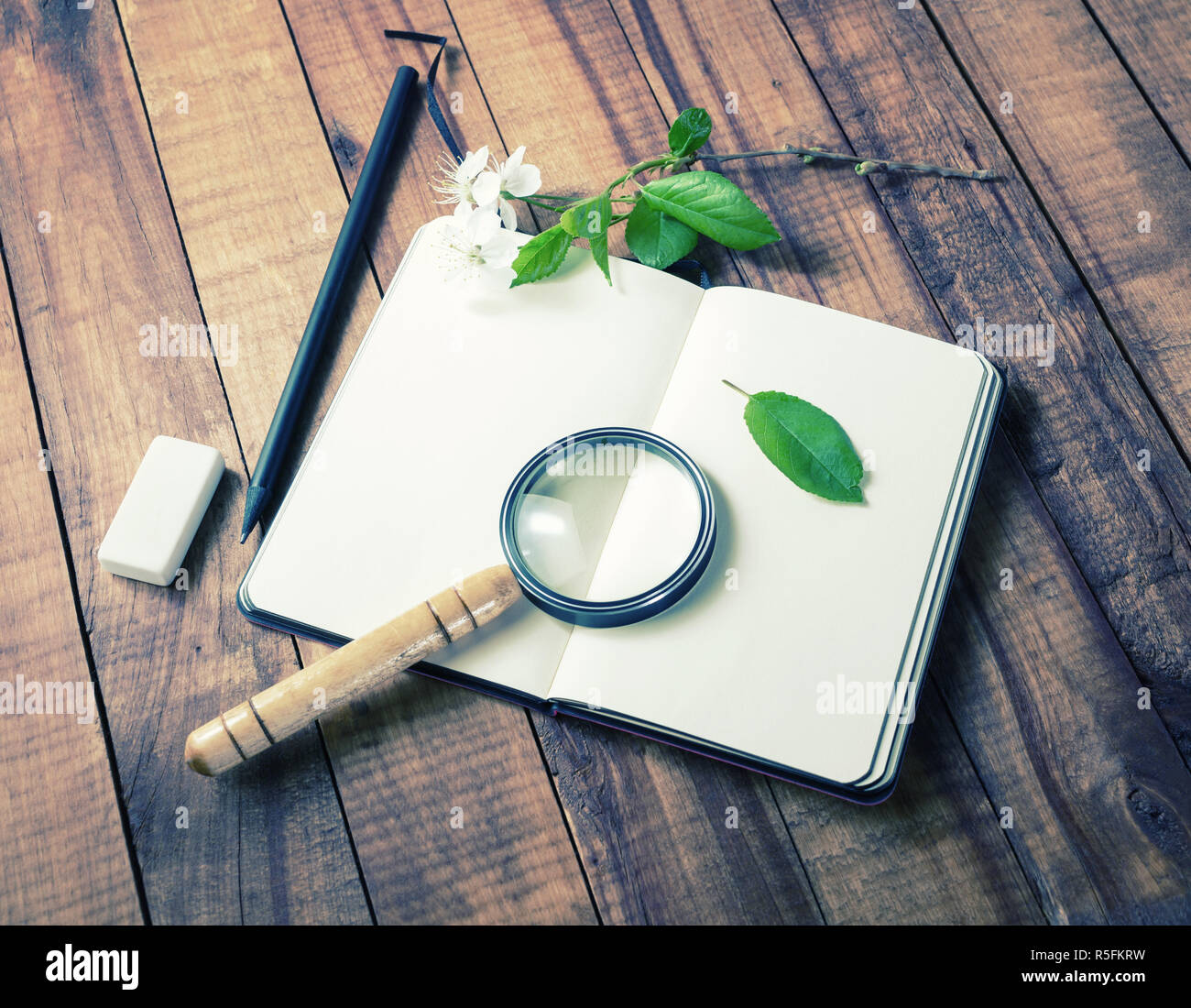 Visual diary of life hi-res stock photography and images - Alamy