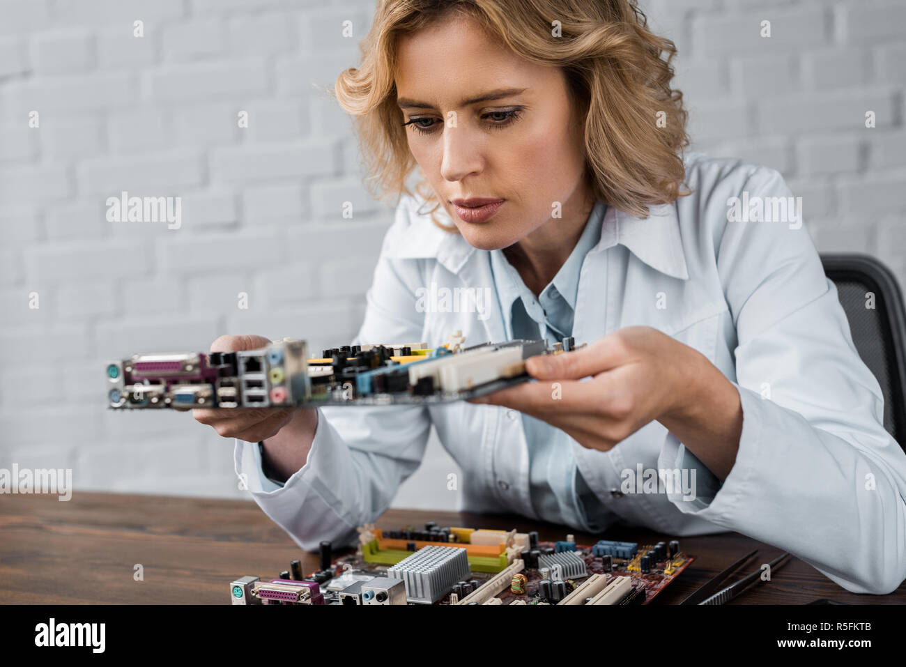 concentrated female computer engineer holding motherboard Stock Photo ...