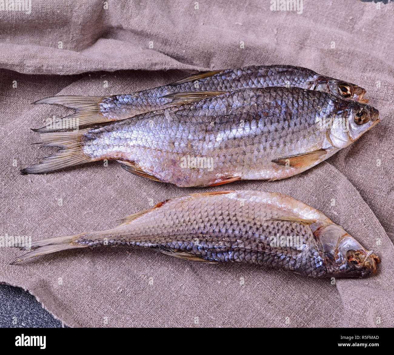 Gray ram hi-res stock photography and images - Alamy