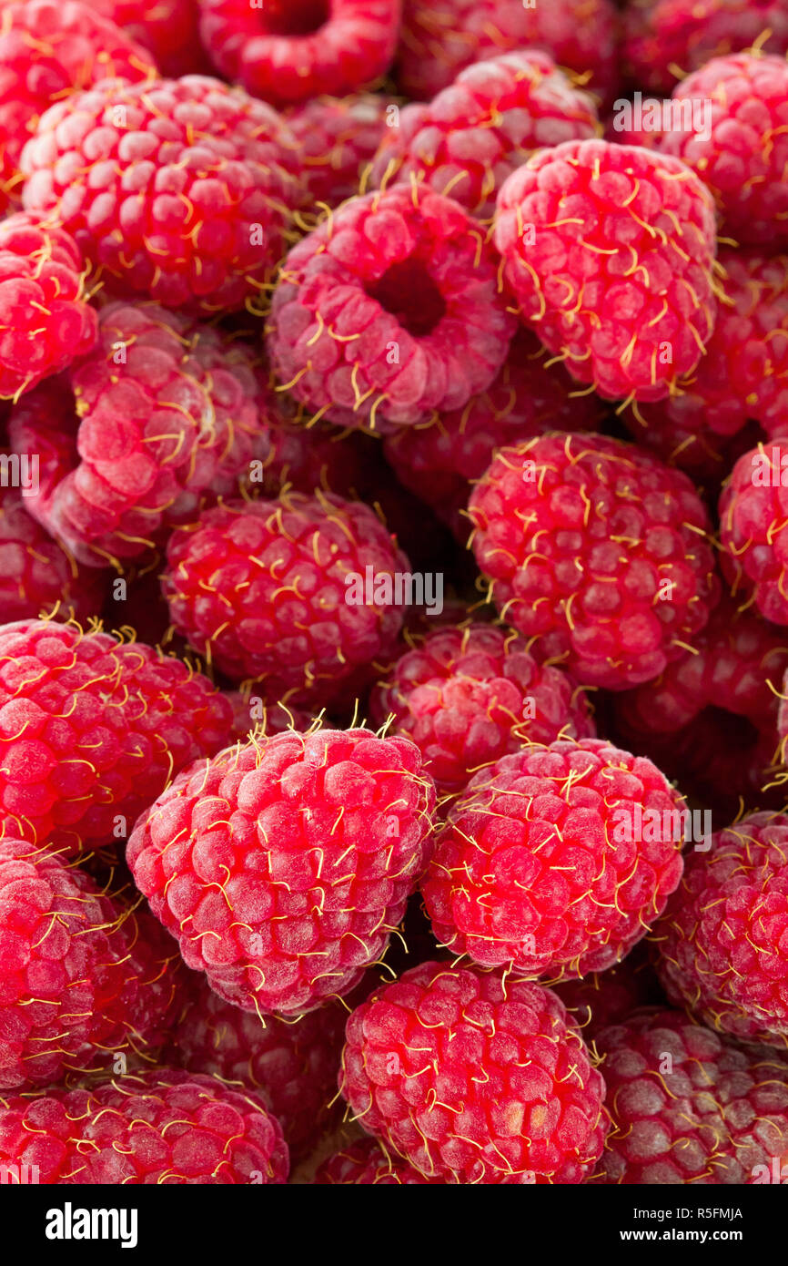 red raspberries background Stock Photo - Alamy