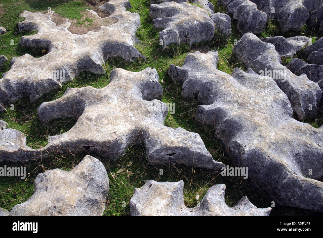 Limestone pavement showing clints and grykes Stock Photo - Alamy