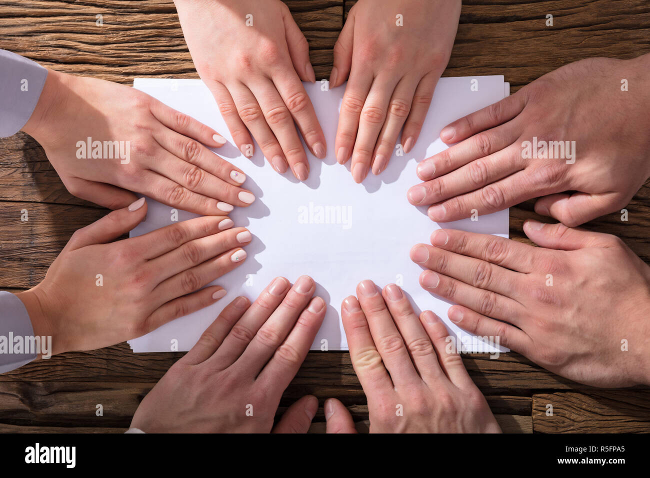 Business hands point table paper hi-res stock photography and images ...