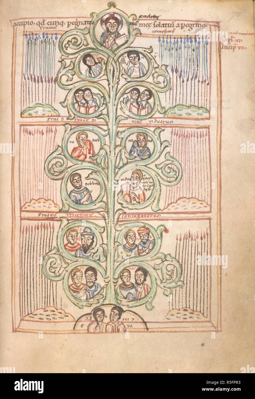 A diagram in the shape of a plant showing the relative merits of ...