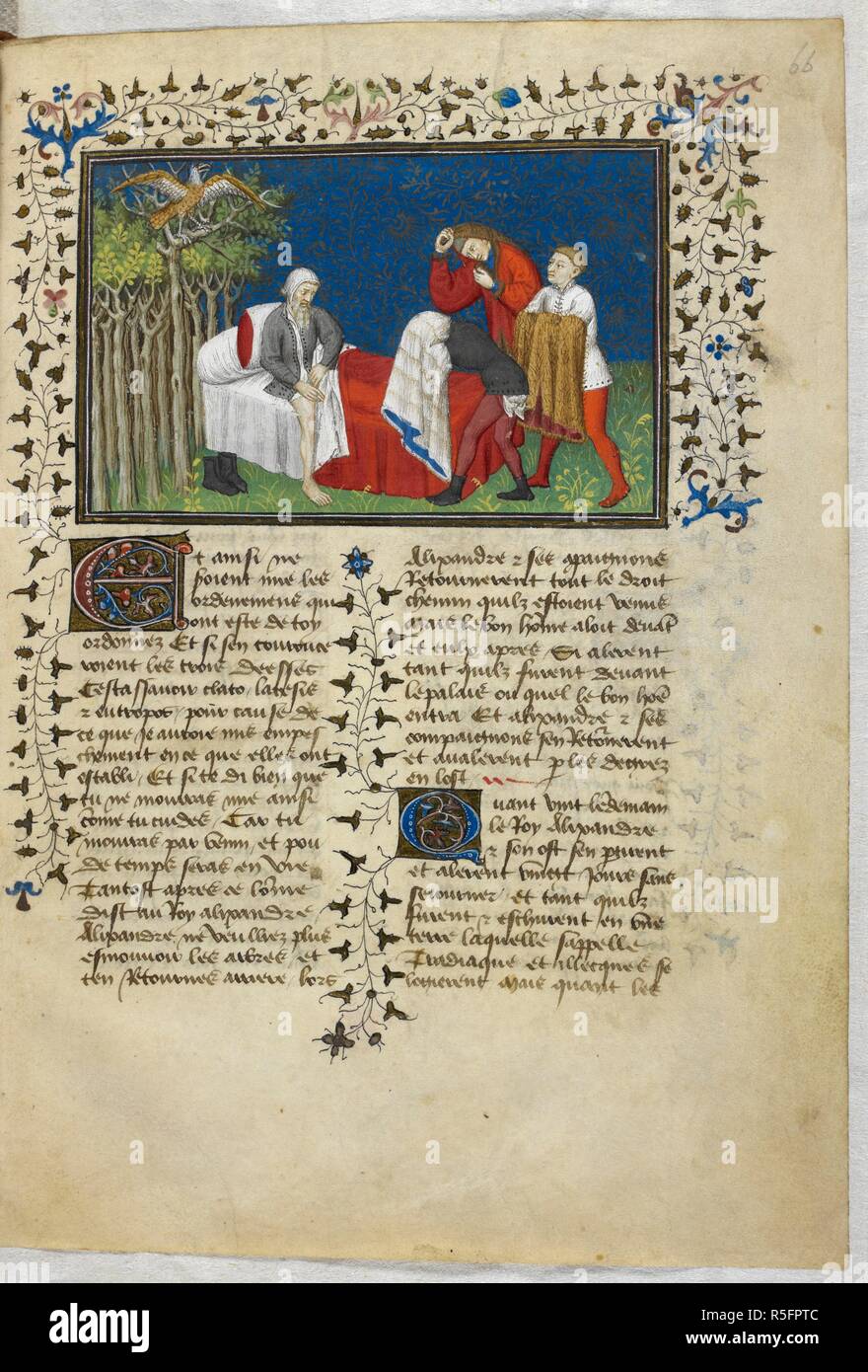 Roy alphabet hi-res stock photography and images - Alamy