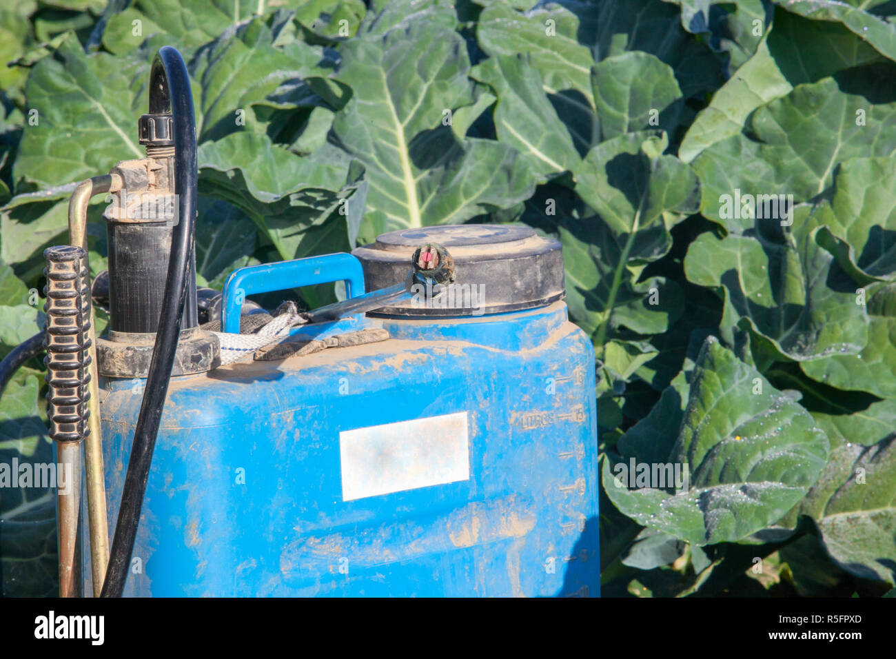 Fumigation pest control hi-res stock photography and images - Alamy