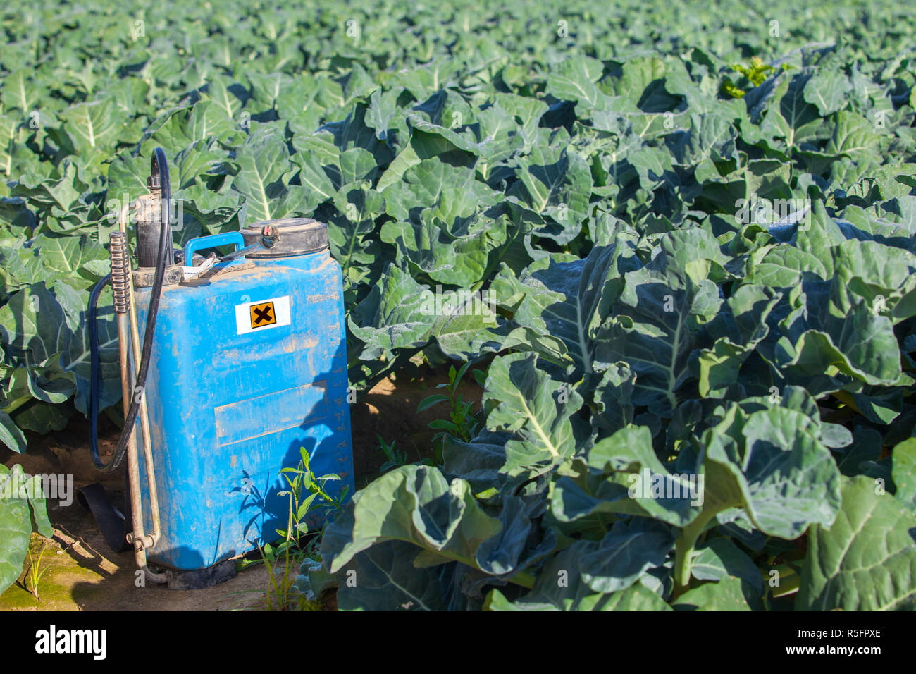 Backpack fumigation sprayer at brocoli field. Negative effects of ...