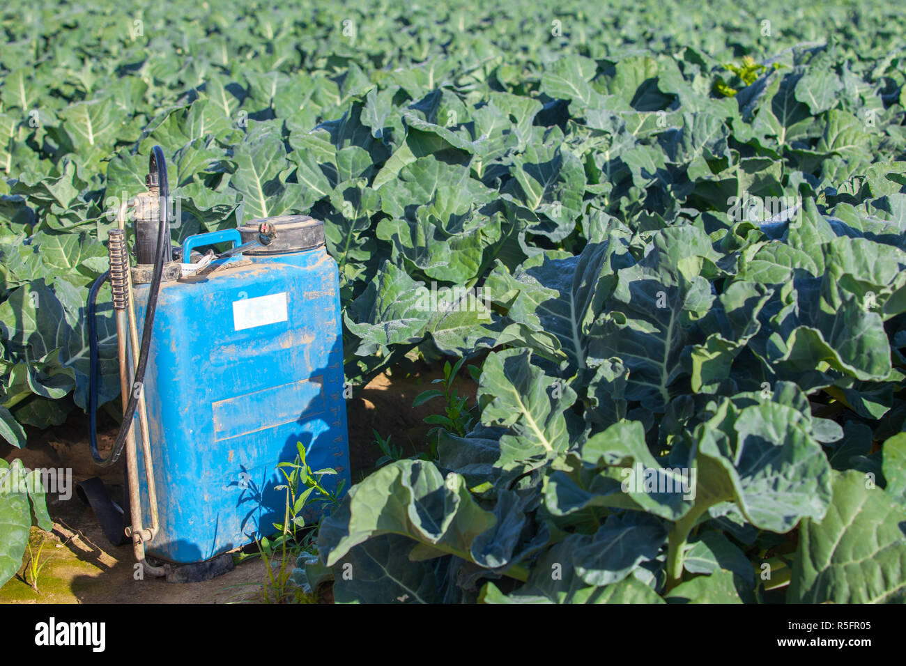 Fumigation sprayer hi-res stock photography and images - Alamy
