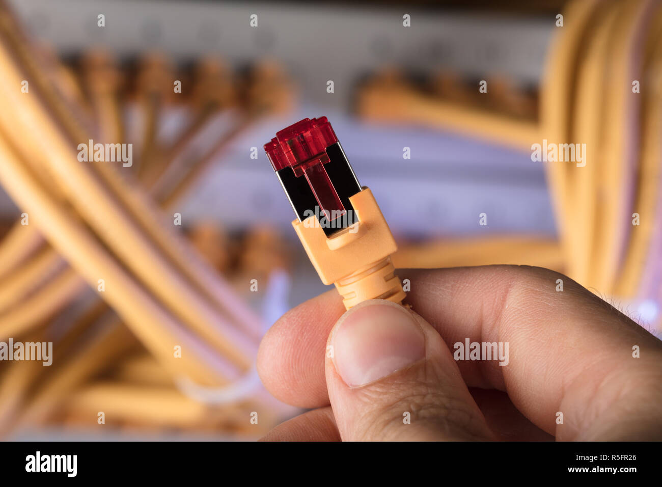 Hand Holding Network Cable Plug In Server Room Stock Photo - Alamy