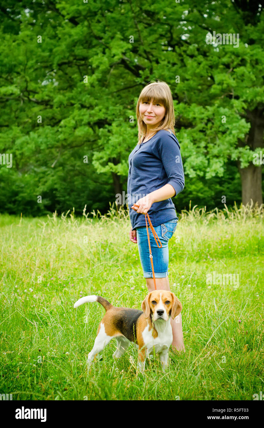 Beagle smile hi-res stock photography and images - Alamy