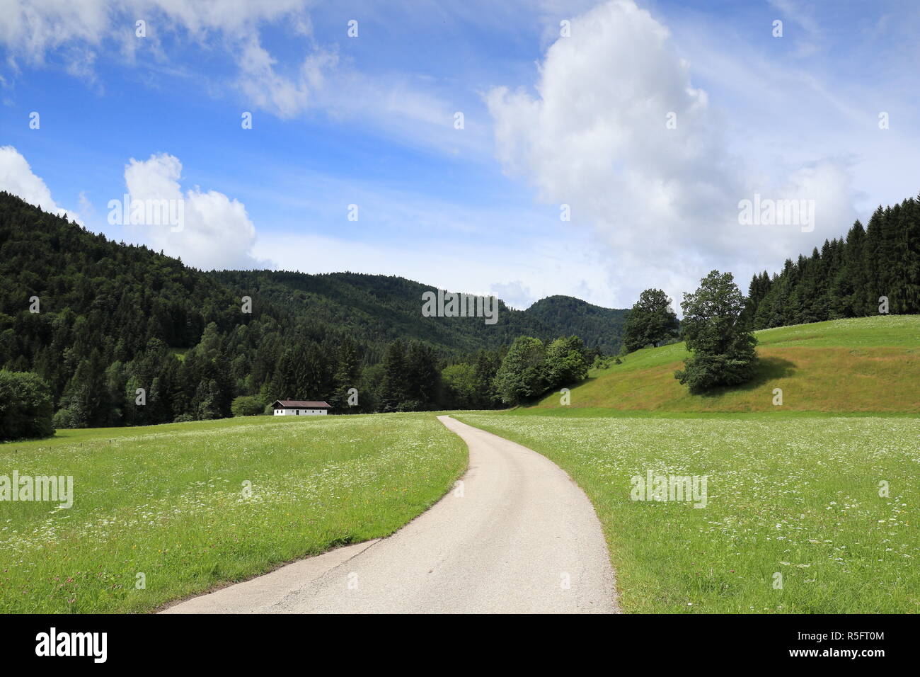 road in natural landscape with alpine pasture Stock Photo - Alamy
