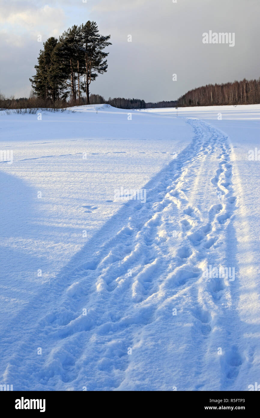 Suda hi-res stock photography and images - Alamy