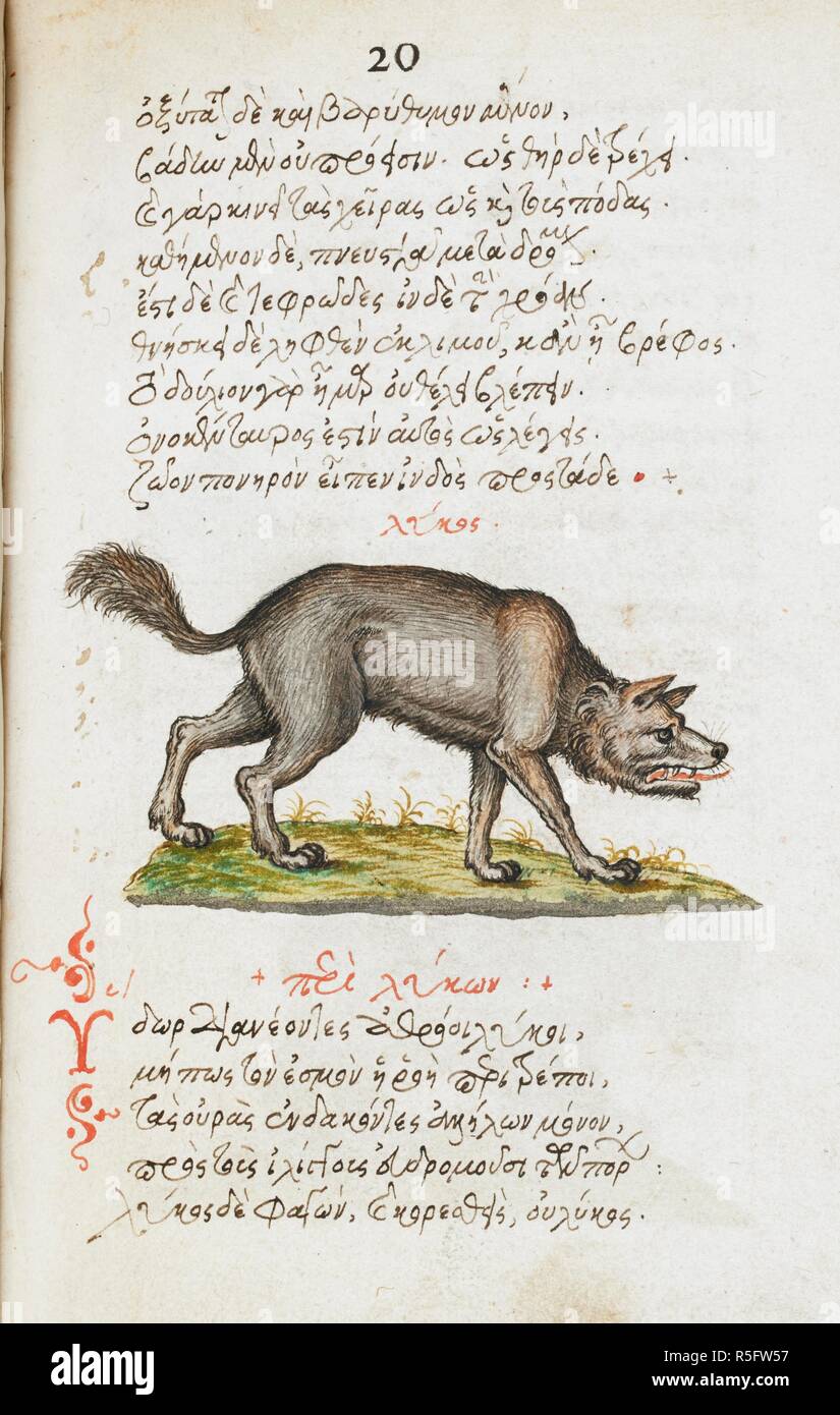 Ancient Werewolf Drawings