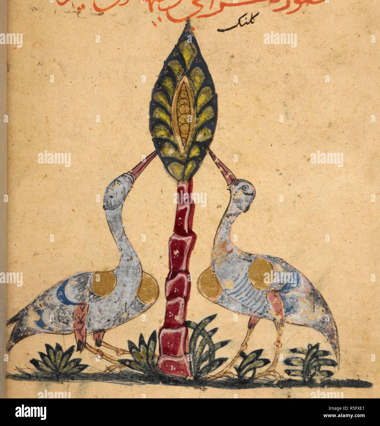 Two cranes. Kitab Na't al-hayawan (book of the characteristics of ...