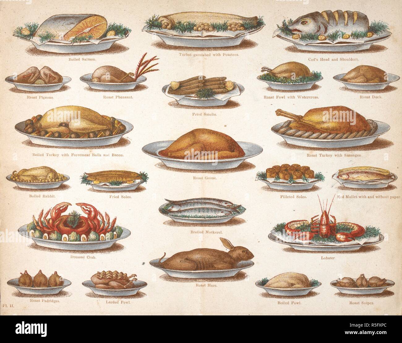 Cookery book poultry hi-res stock photography and images - Alamy