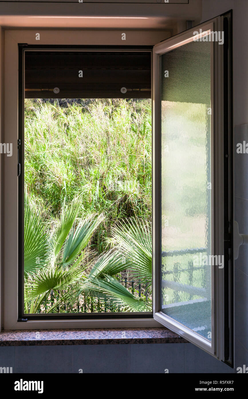 view of green garden from open home window Stock Photo - Alamy