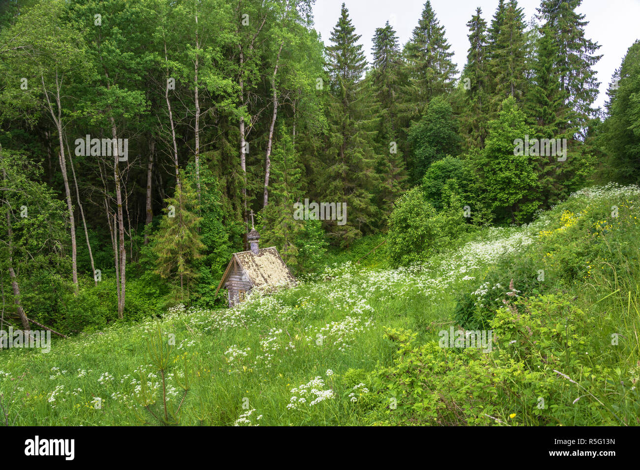 Sacred spring in honor of the Nativity of the Most Holy Mother of God ...