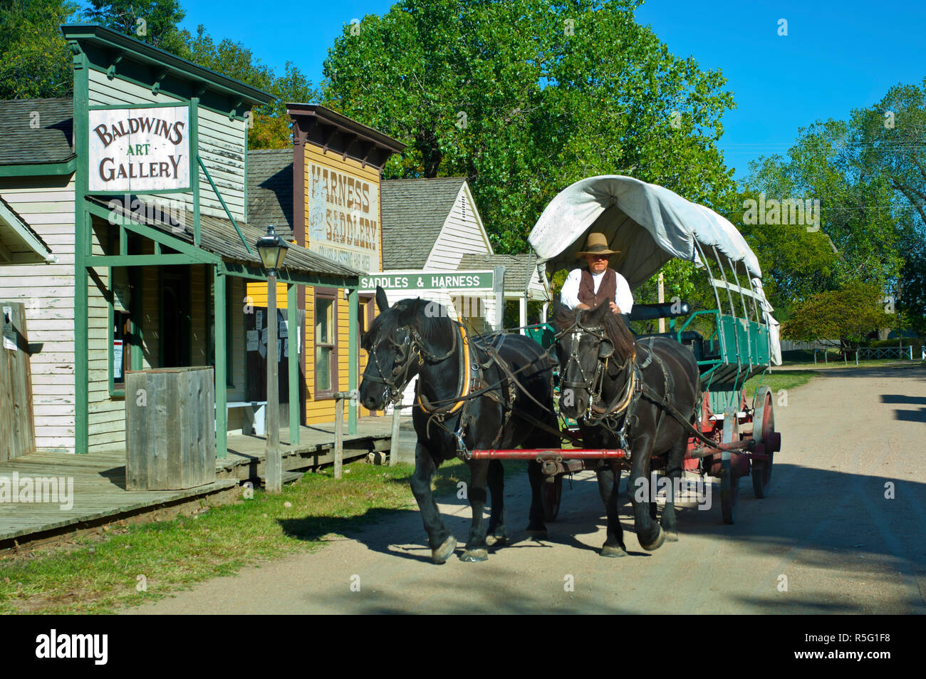 USA, Kansas, Wichita, Old Cowtown, Museum, 1870's Midwestern Cattle ...