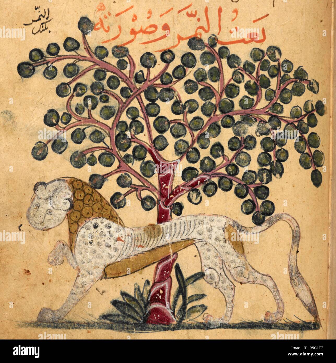 Kitab al hayawan hi-res stock photography and images - Alamy