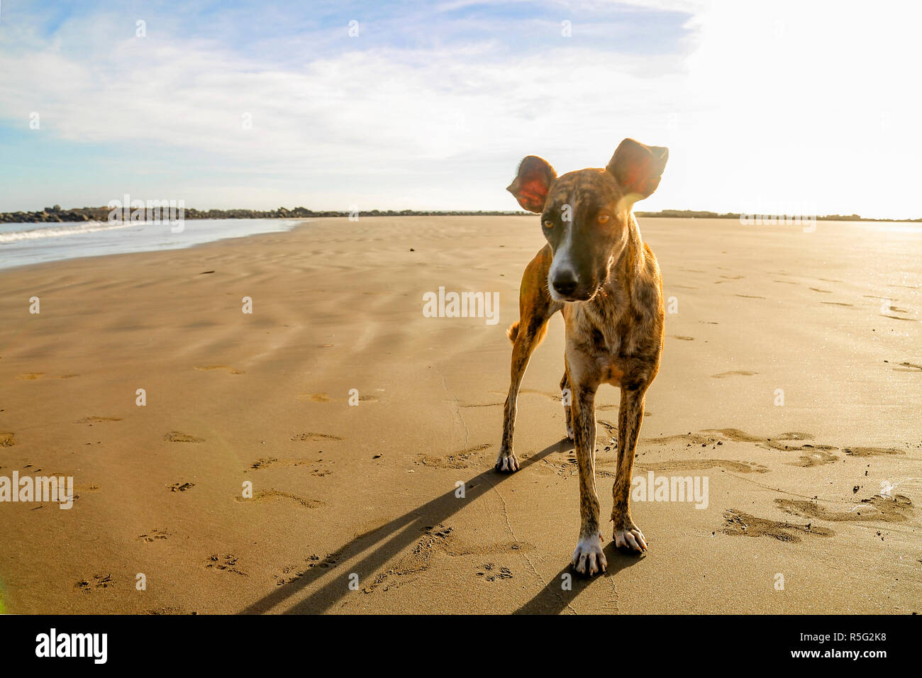 Sights of El Maculis, La Union, El Salvador Stock Photo - Alamy