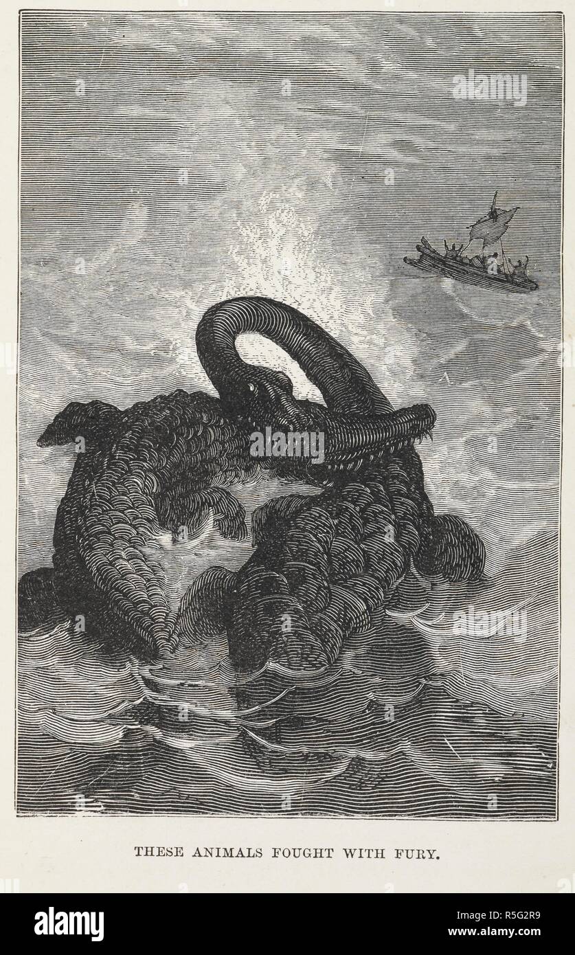 "These animales fought with fury". Prehistoric creatures fighting in ...