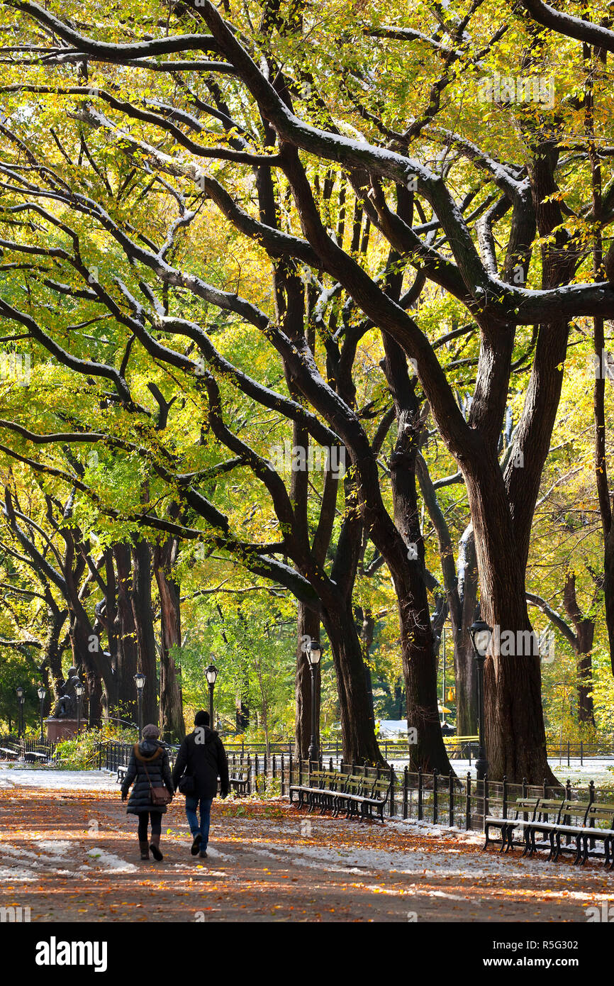 The Mall and Literary Walk with American Elm Trees forming the avenue ...