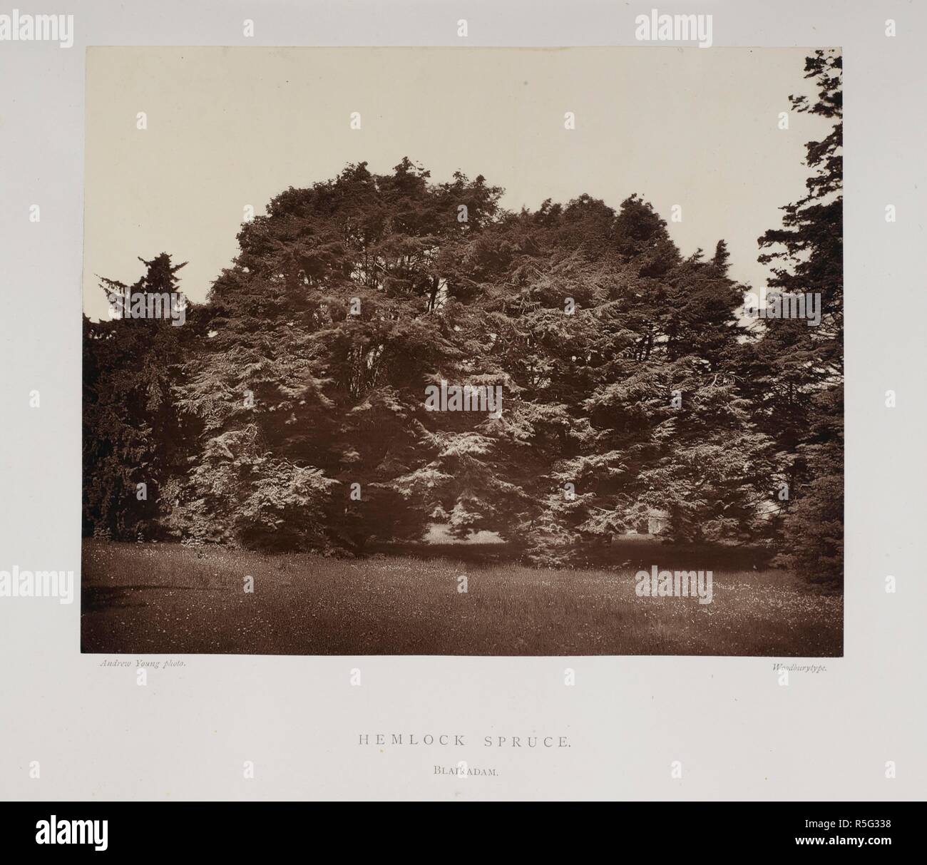 Hs timber hi-res stock photography and images - Alamy