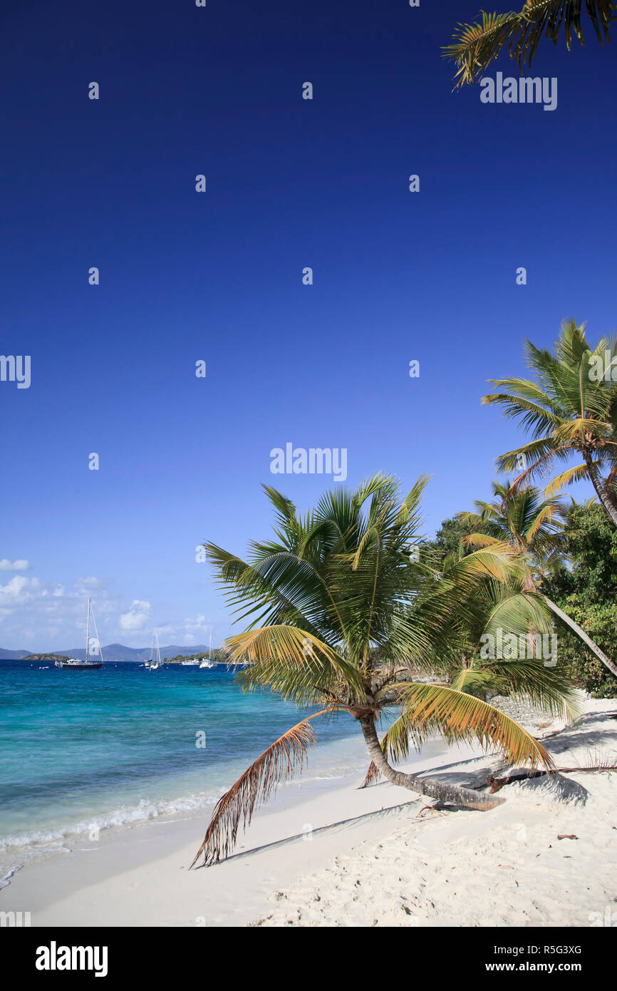 Caribbean, US Virgin Islands, St. John, Virgin Islands National Park ...