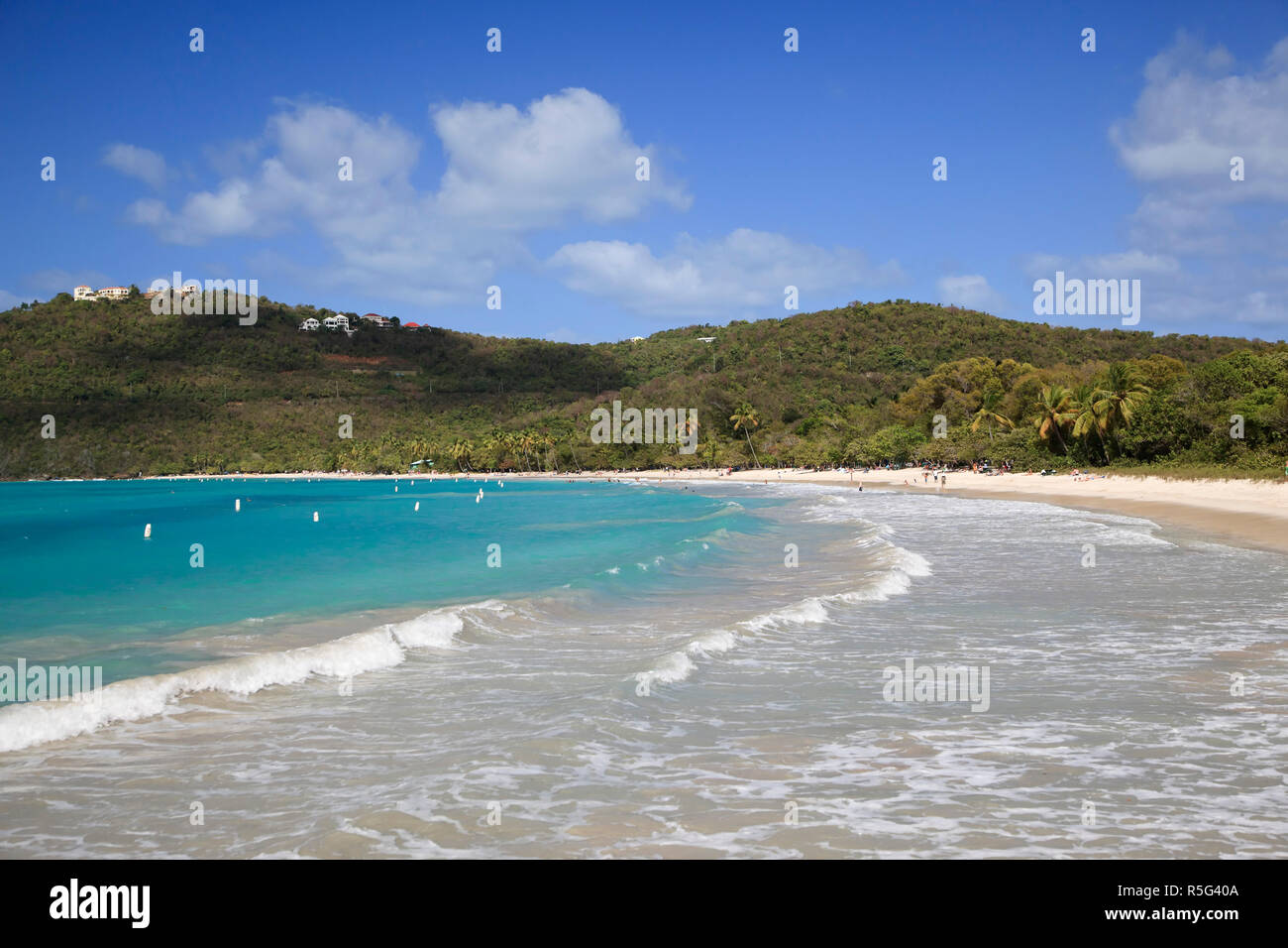Caribbean, US Virgin Islands, St. Thomas, Magens Bay Stock Photo - Alamy